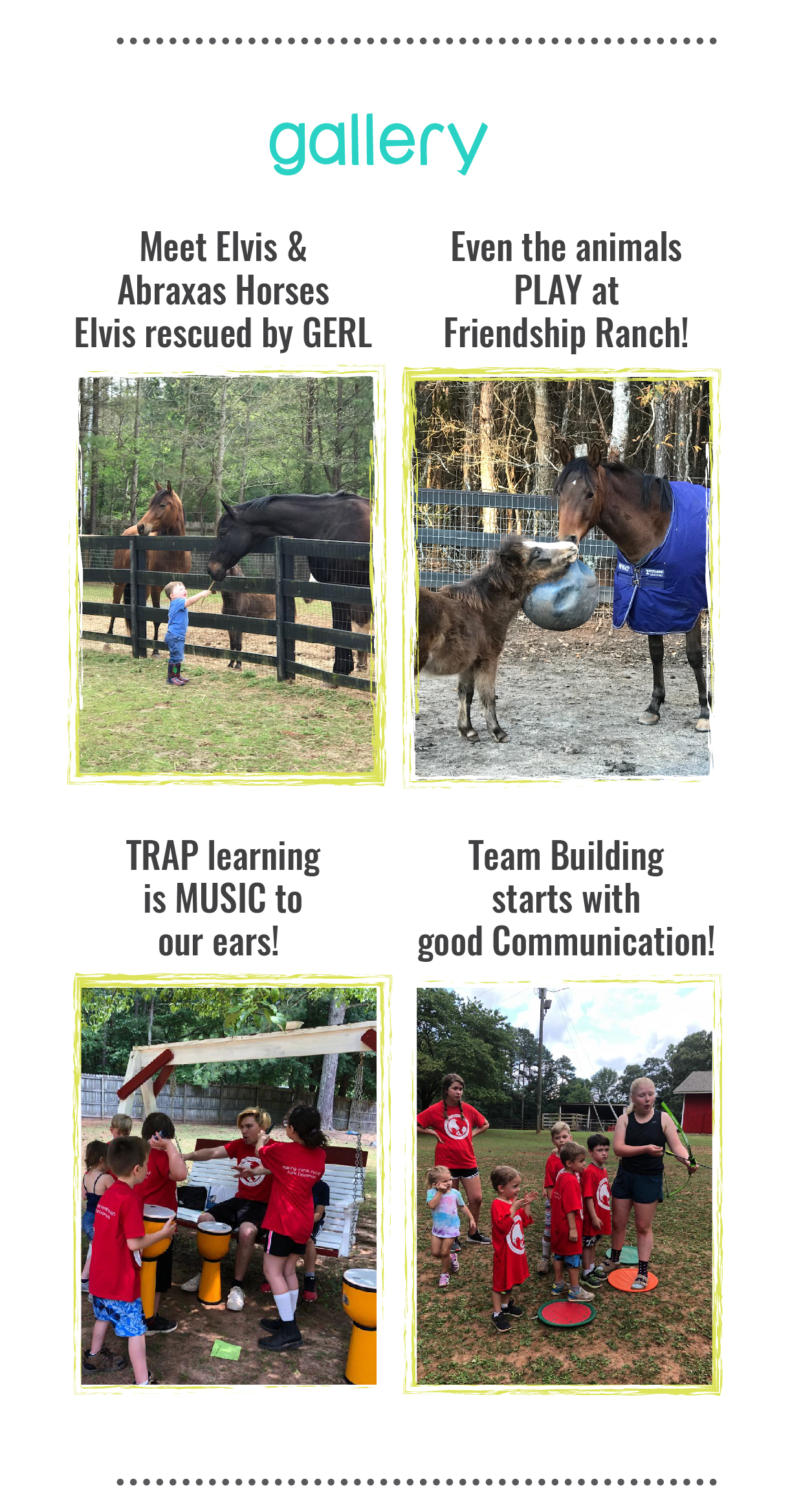 Friendship Ranch Milton – Making friends through farm experiences